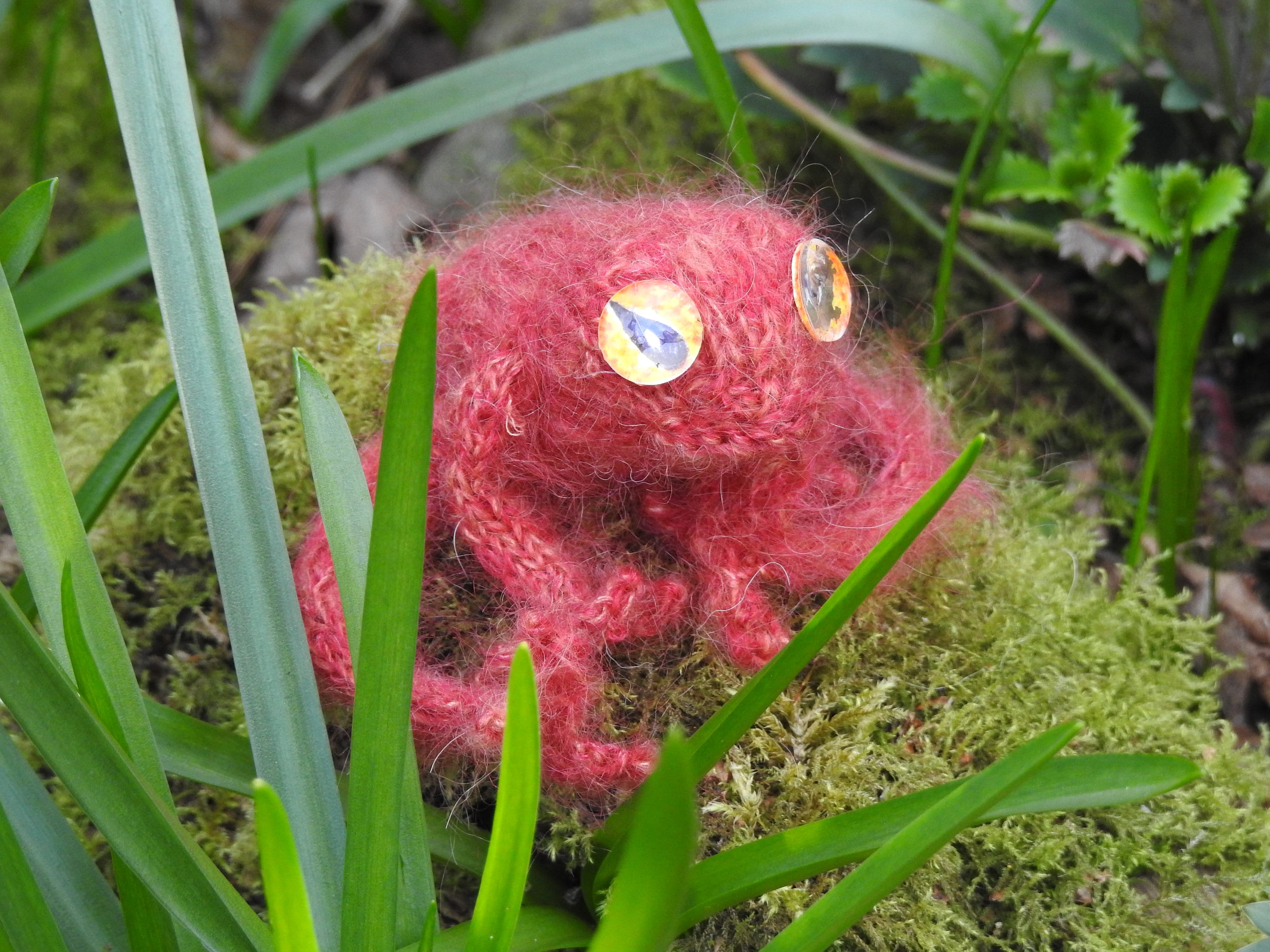 Hand Made Hand Knitted Froggie Frog Rust Red Colours - Etsy UK