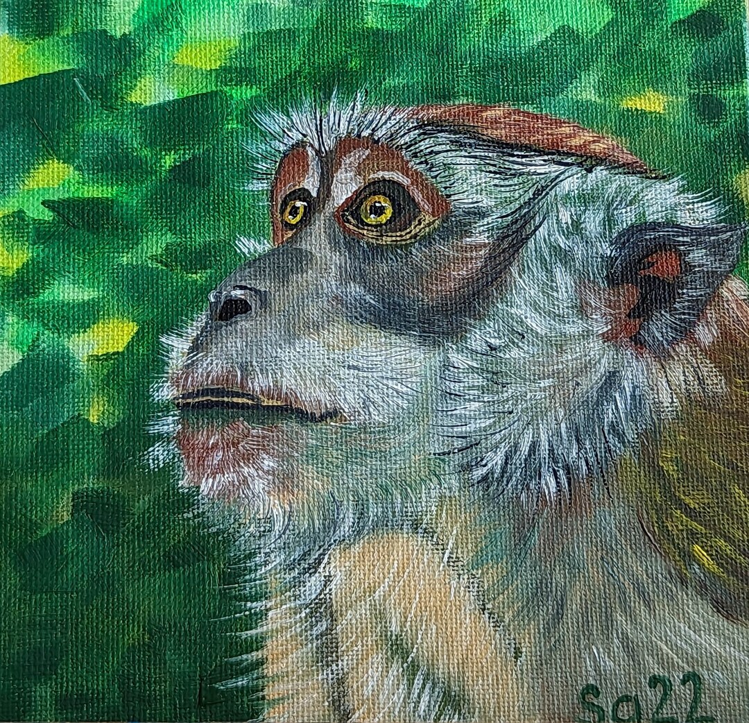 Ape Monkey Original Hand-painted, Oil Painting, Oil on Canvas Cardboard Animal - Etsy