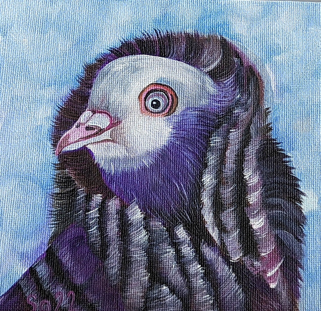 Dove Oil Painting Original Hand-painted Bird Portrait Miniature Mini ...