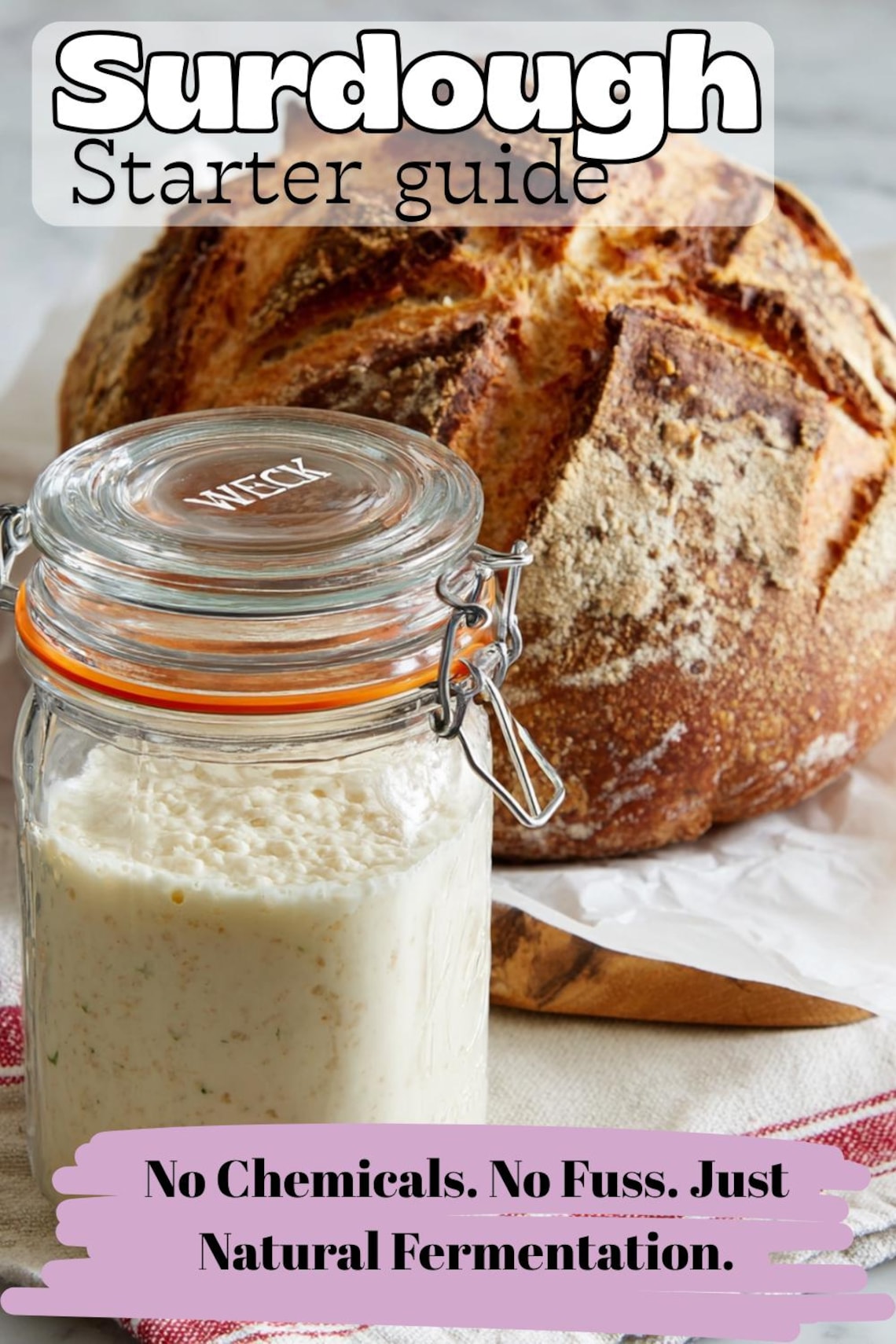 Sourdough Starter Guide PDF — Beginner’s Step-by-step Starter ...