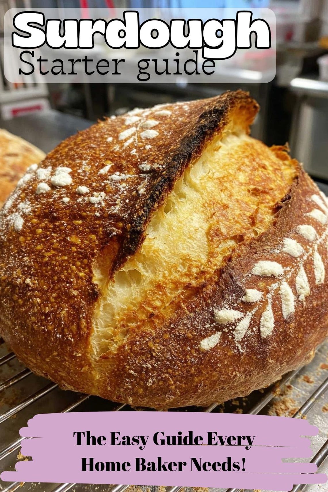 Sourdough Starter Guide PDF — Beginner’s Step-by-step Starter ...
