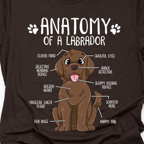 Labrador Retriever Dog T-shirt - Etsy