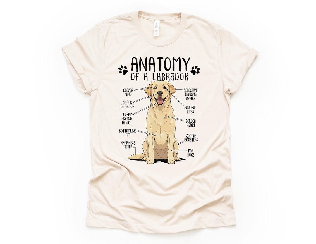 Anatomy Labrador T-shirt Funny Yellow Labrador Retriever Shirt Dog ...