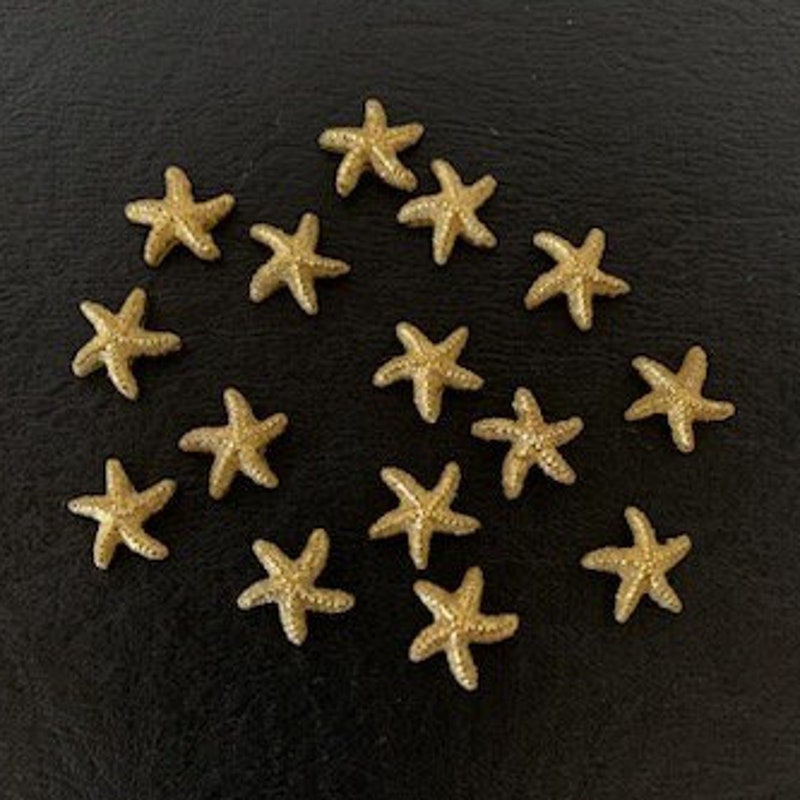 Starfish for Crafts - Etsy
