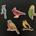 Choice of Bird Buttons, Wood Bird Buttons, Bird Buttons, Cardinal Bird ...