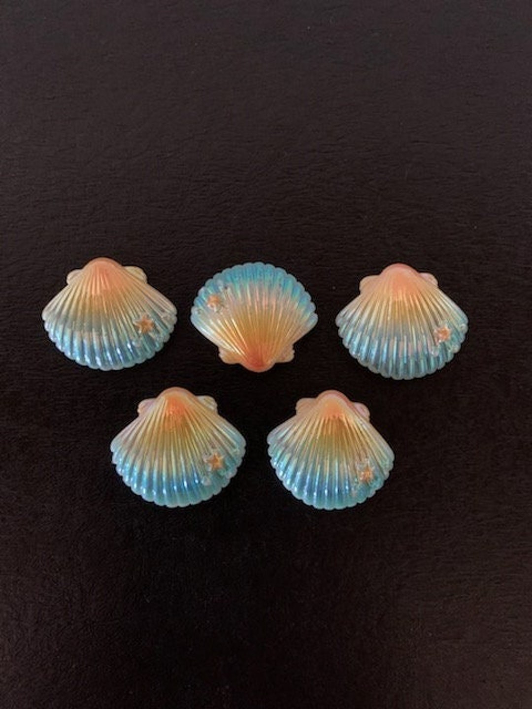 5 Seashell Flatbacks, Seashell Cabochon, Seashell Flats, Seashell ...