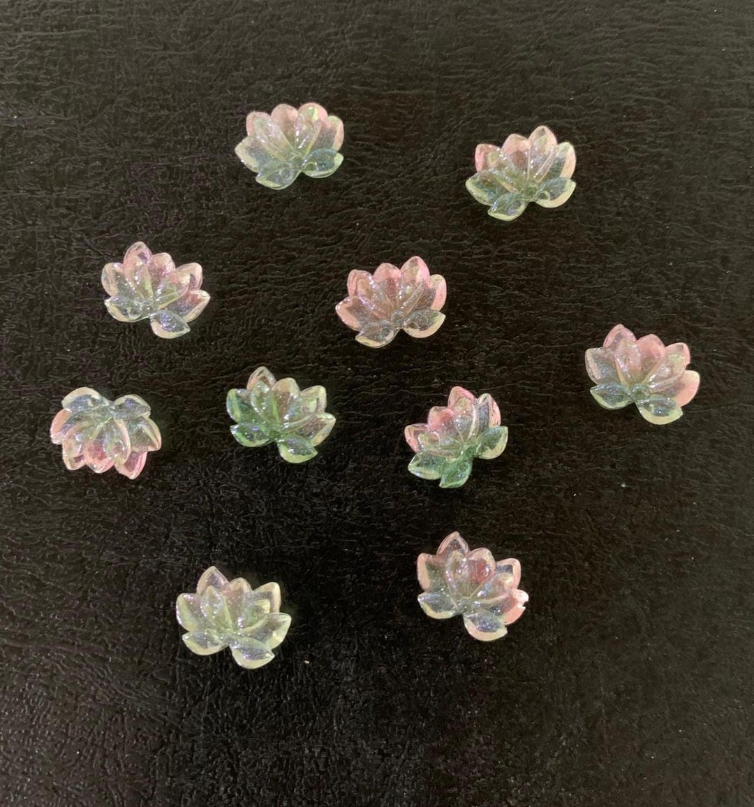 10 Random Mix Snow Lotus Flower Flats, Lotus Flower, Pastel Flowers ...