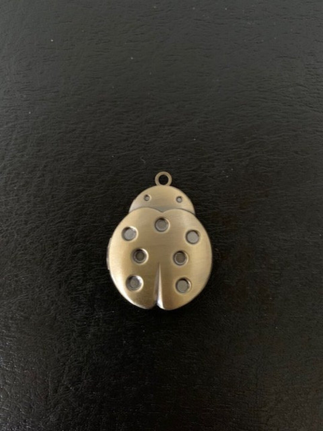 1 Light Bronze Ladybug Locket, Ladybug Locket, Ladybug Pendant, Ladybug ...