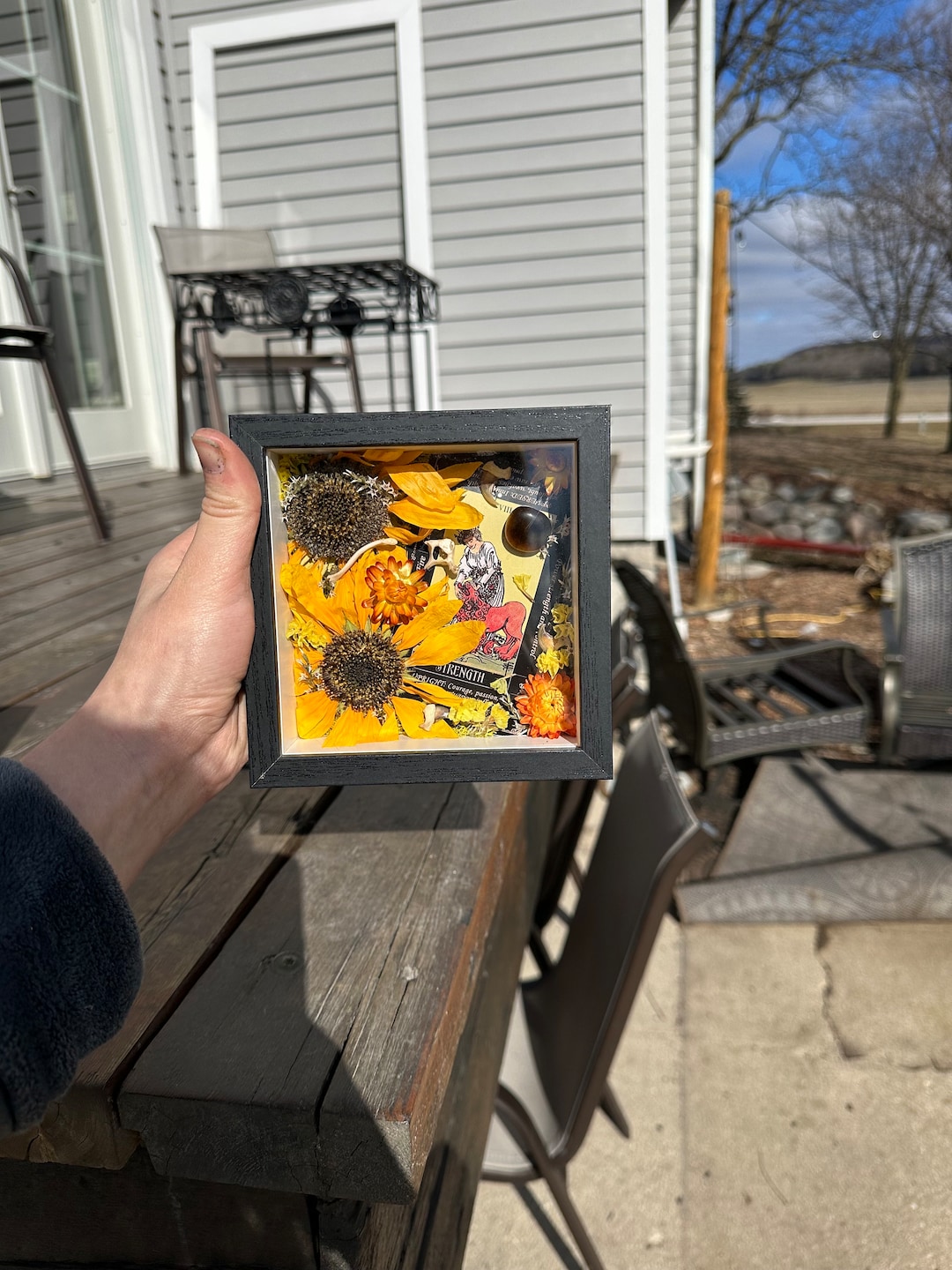Bobcat Claws Strength Tarot Card, Leo Themed Shadow Box - Etsy