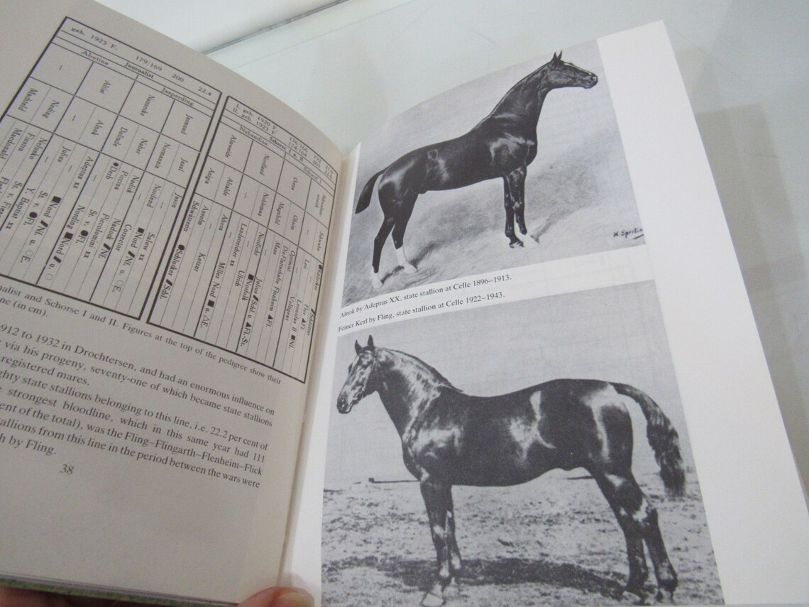 The Hanoverian Christian Freiherr Von Stenglin Allen Breed | Etsy