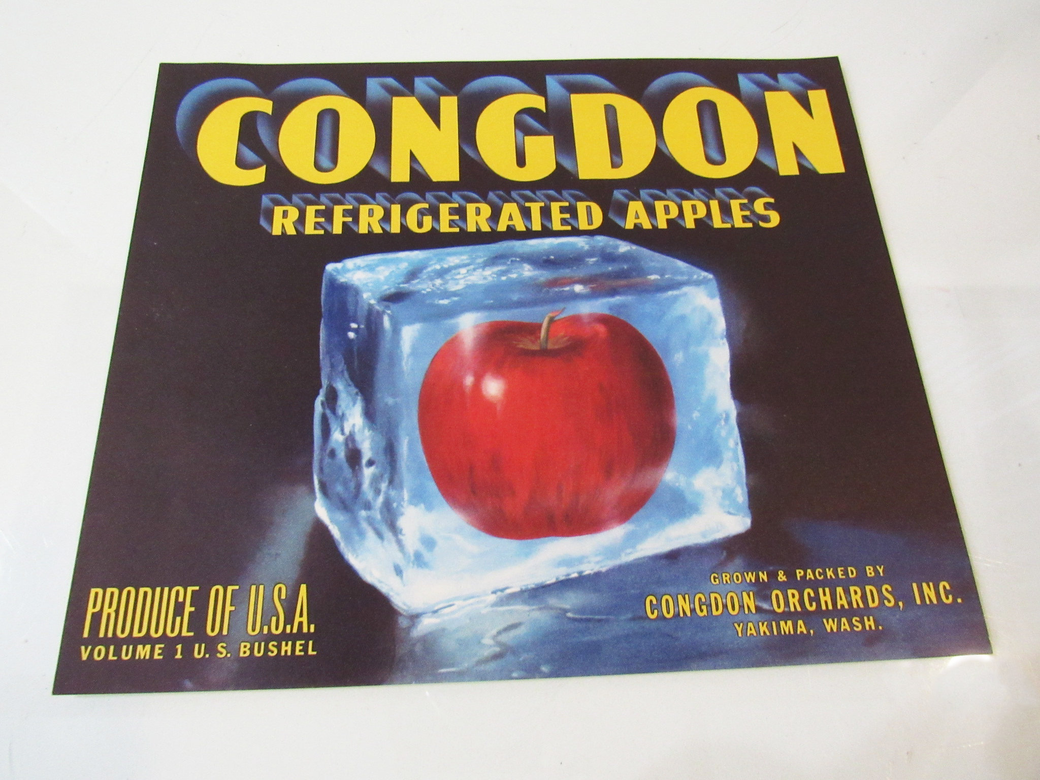 Audrey Congdon