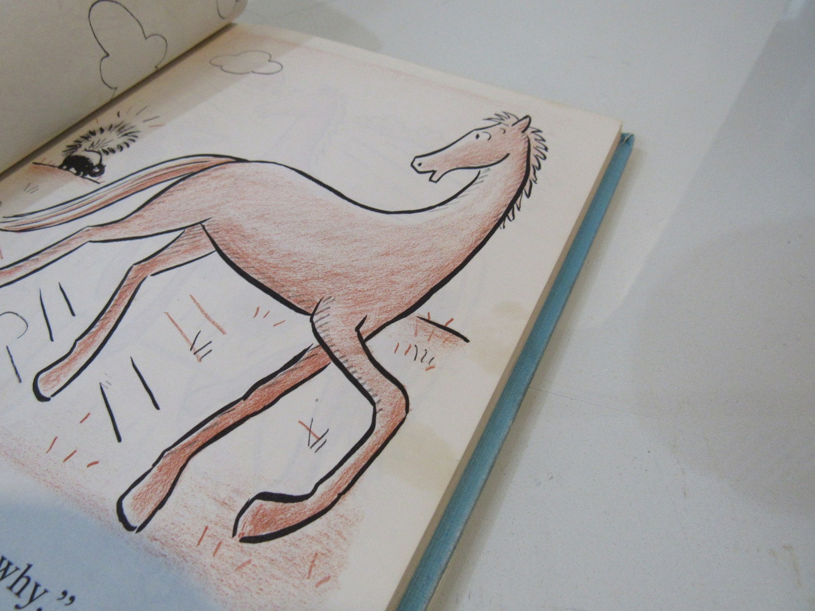 Chester Syd Hoff 1961 I Can Read Book Harper & Row - Etsy