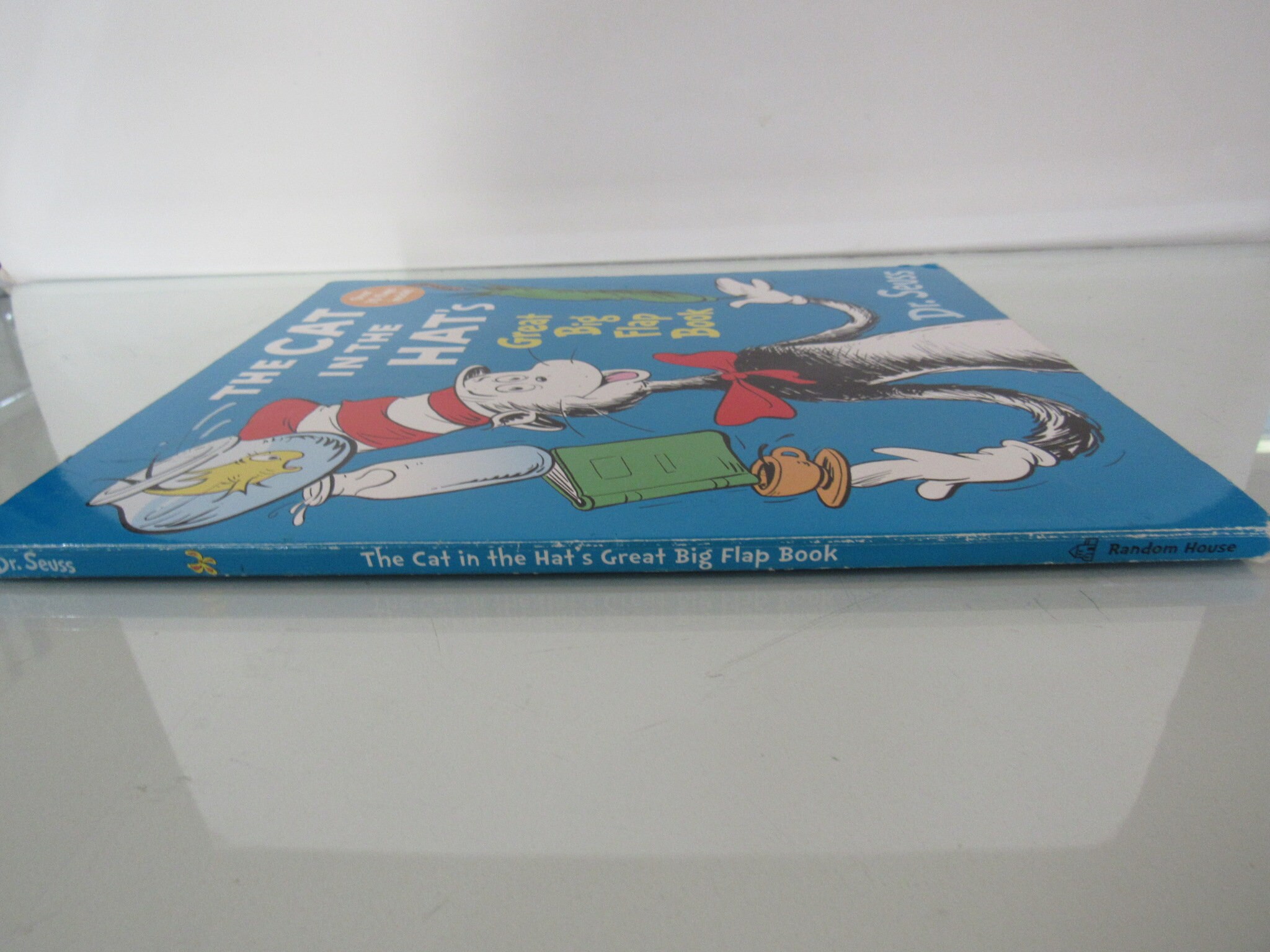 Cat in the Hat's Great Big Flap Book Dr Seuss 1999 - Etsy