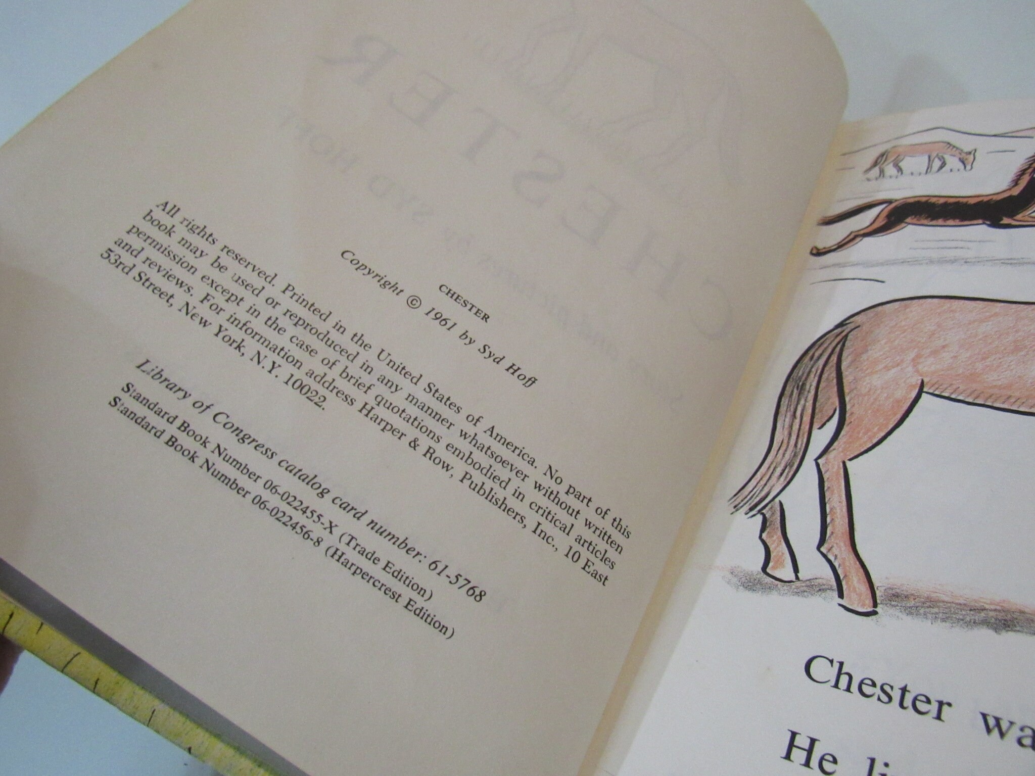 Chester Syd Hoff 1961 I Can Read Book Harper & Row - Etsy