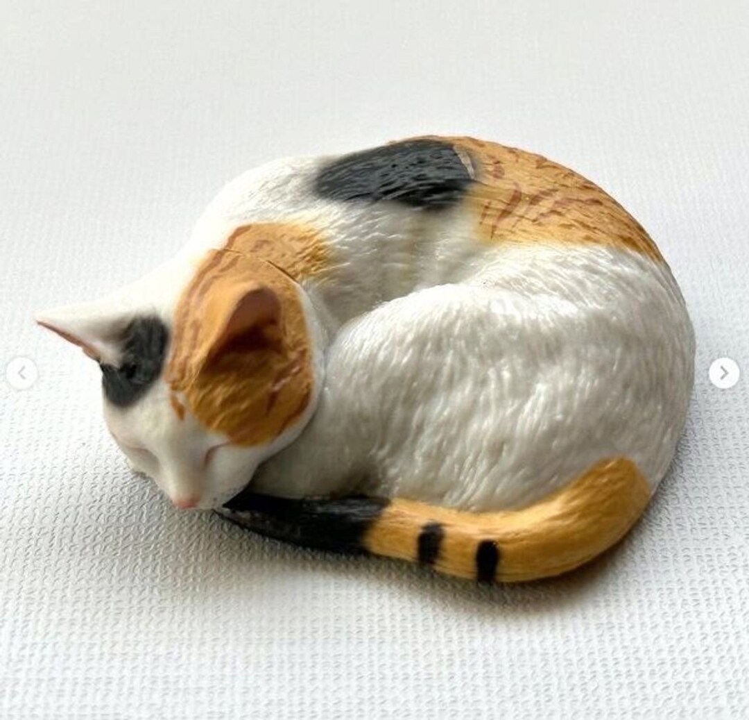 1/6 Dollhouse Miniature Realistic Cat Figurine: Sleeping first Photo - Etsy