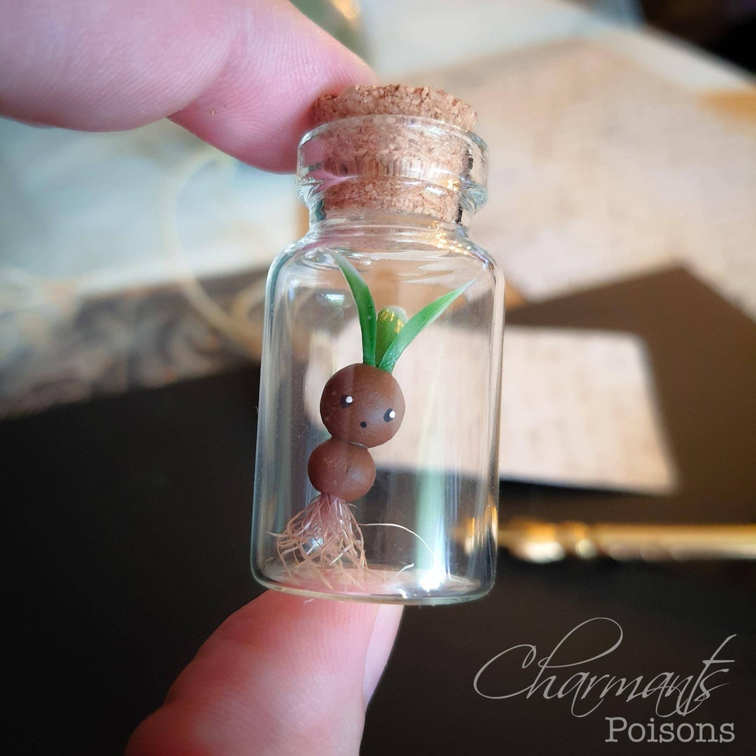 Mini Mandrake in a Vial - Etsy Australia