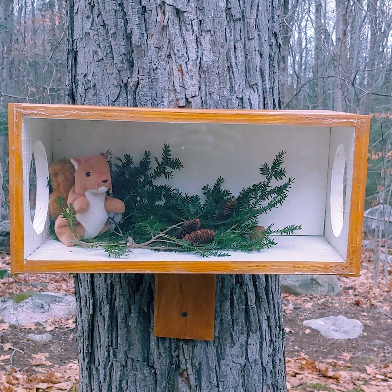 Squirrel in Log - Etsy