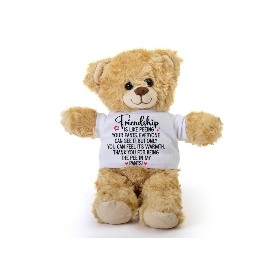 Friendship Teddy Bear, Long Distance Friends Gift, Friendship is Like ...