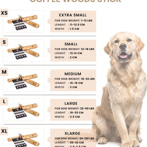 Natural Coffee Wood Dog Toy Set X4 - Etsy