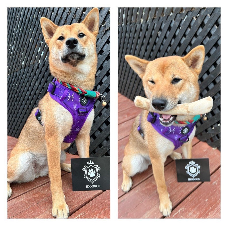 Natural Coffee Wood Dog Toy Set X4 - Etsy