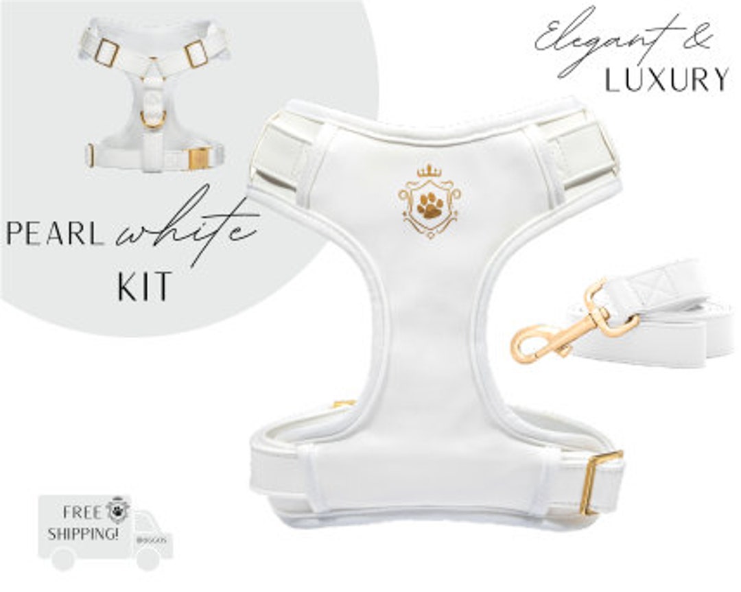 White Pearl Dog Leash and Harness Set by Idoggos Best Seller - Etsy