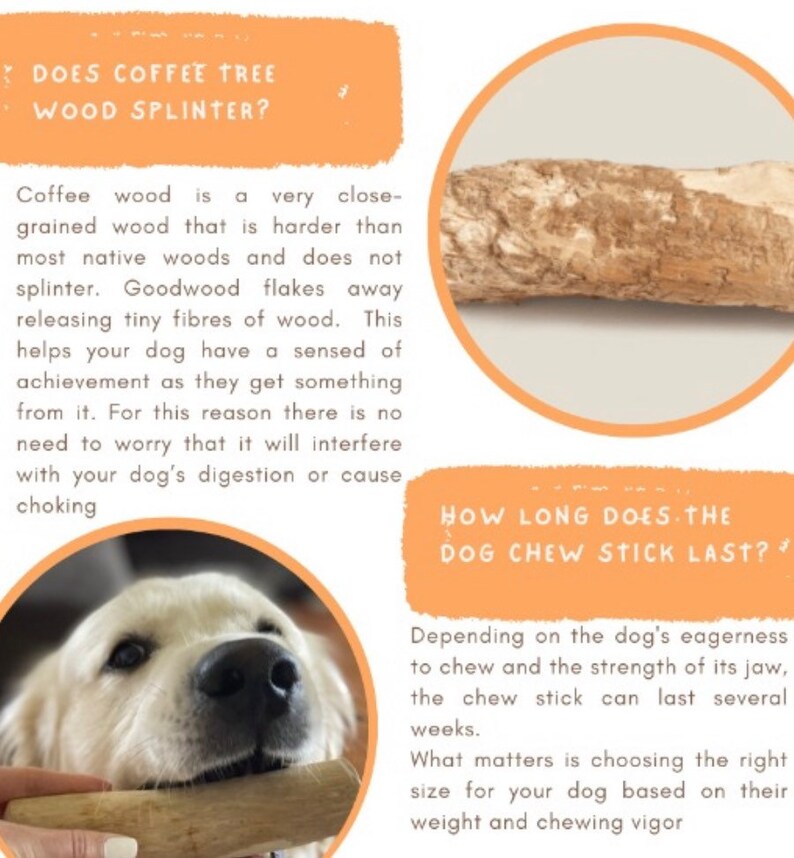 Natural Coffee Wood Dog Toy Set X4 - Etsy