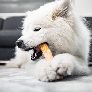 Natural Coffee Wood Dog Toy Set X4 - Etsy