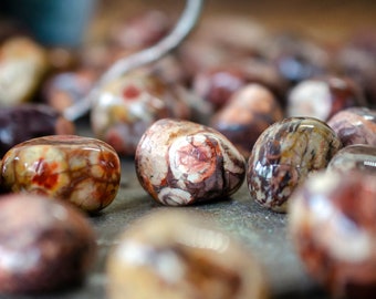 2 Bird's Eye Rhyolite Jasper Tumbled Stone Crystal for Jewelry & Crafts ...