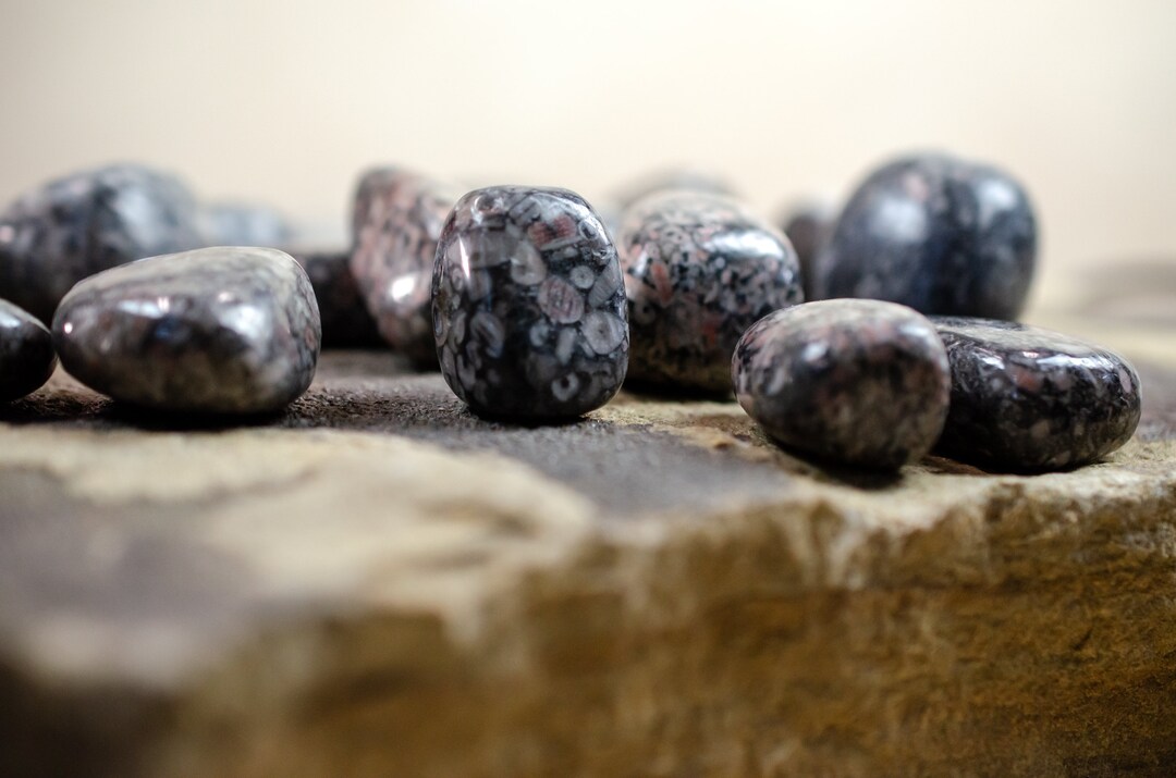Fossil Stone - Etsy
