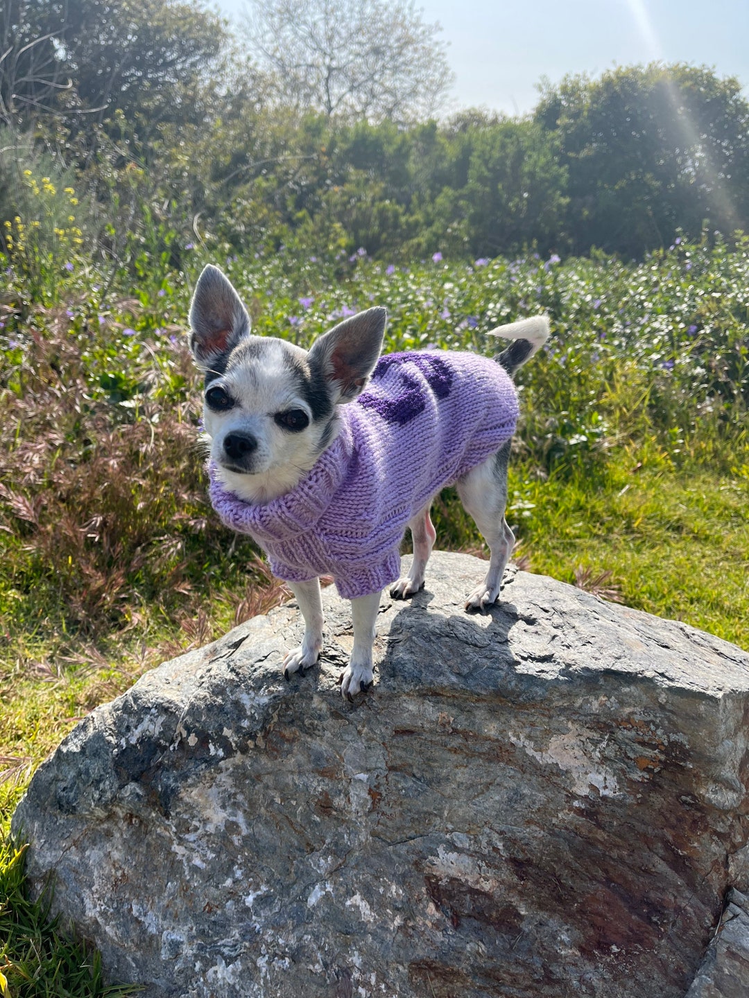 Dog Sweater, Custom Hand-knit With Any Design - Sports, Name, Initial ...