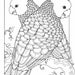 A Colouring Book of Parrots, 42 Different Pages to Download - Etsy