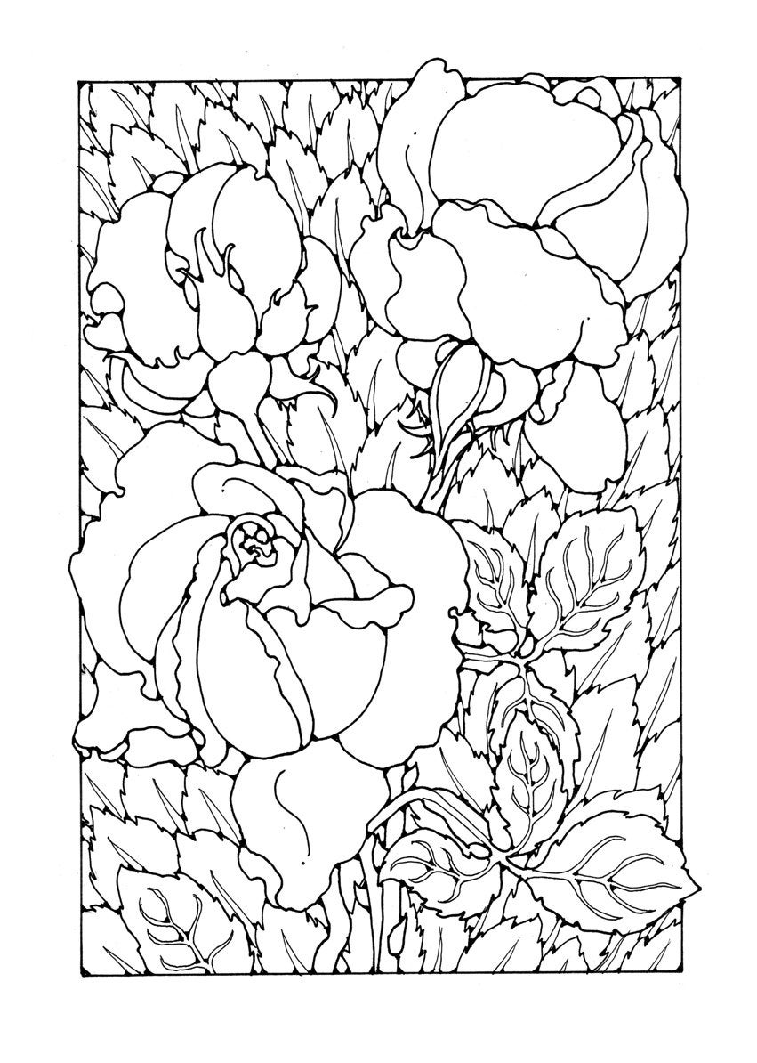 Flowers to Colour In. 62 Different Pages to Download and Print Out. - Etsy