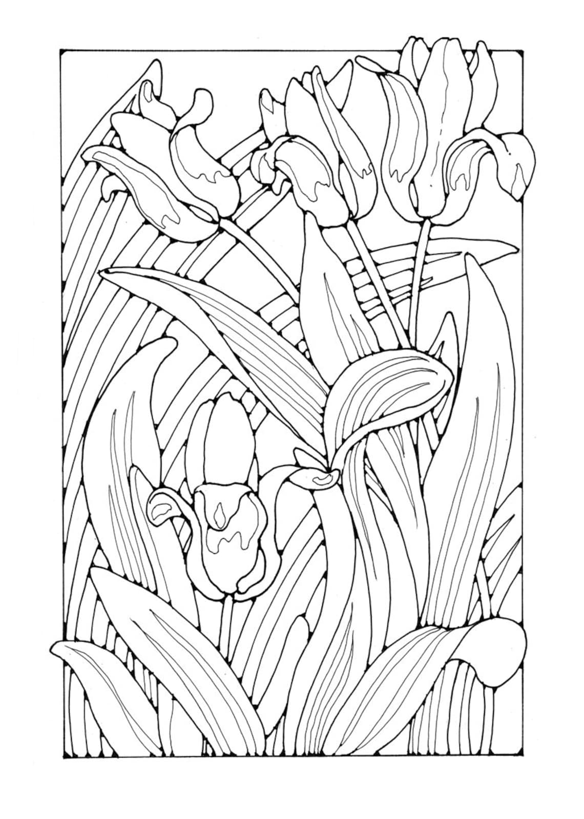 Flowers to Colour In. 62 Different Pages to Download and Print Out. - Etsy