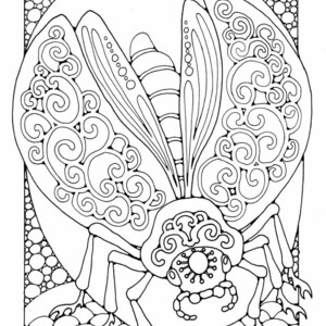 Butterflies and Bugs to Colour in US Letter Format. 42 Different Pages ...