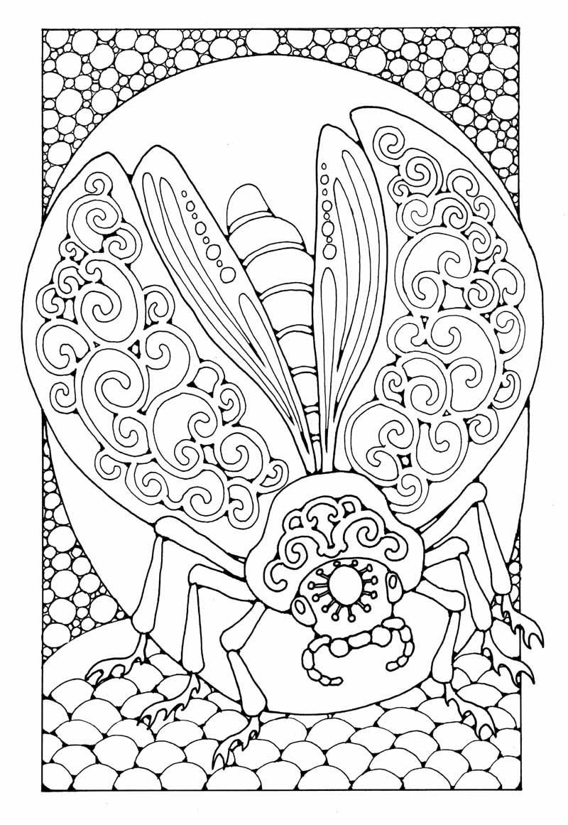 Butterflies and Bugs to Colour in US Letter Format. 42 Different Pages ...