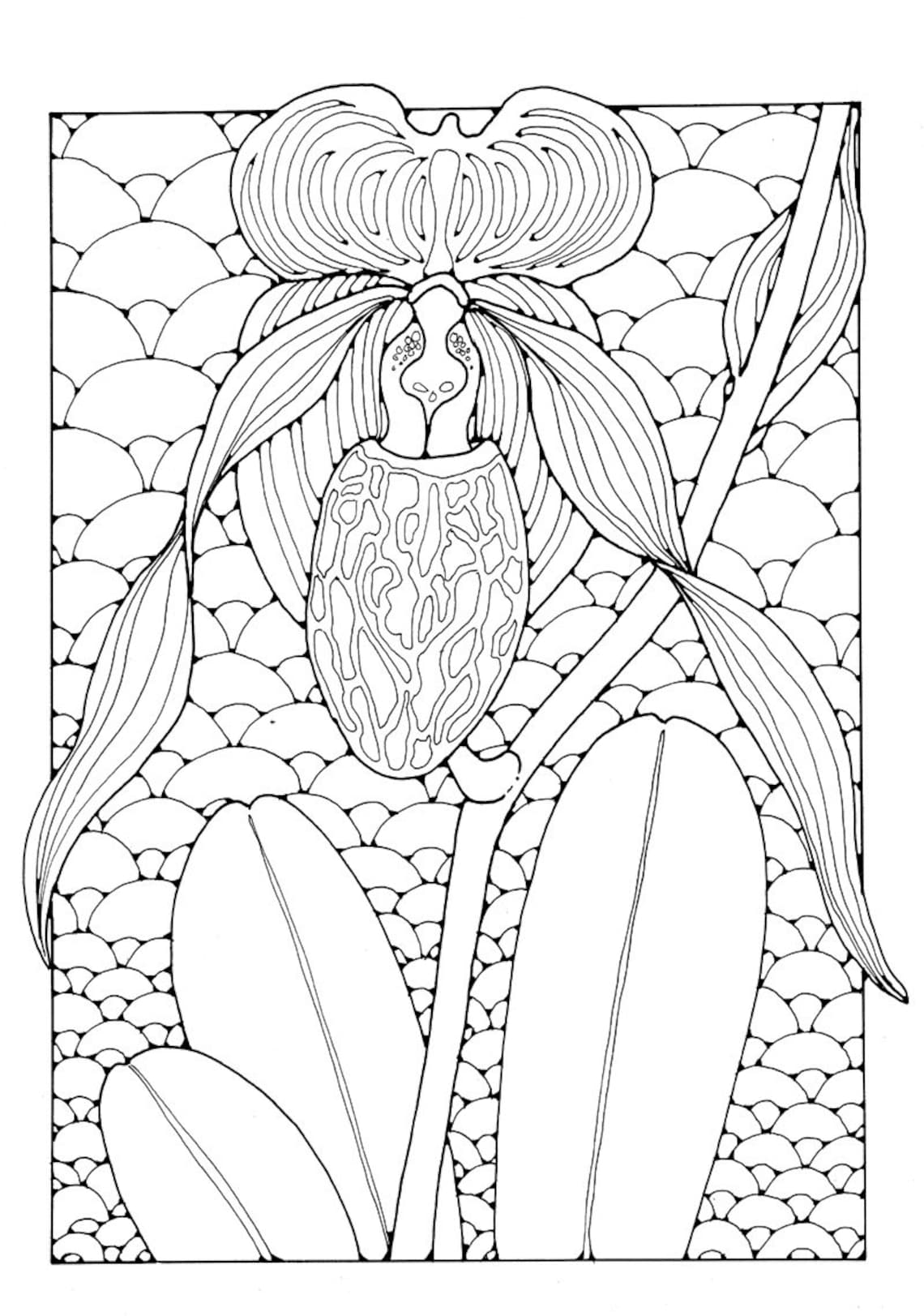 A Colouring Book of Orchids, 42 Different Pages to Download and Print ...