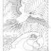 A Colouring Book of Parrots, 42 Different Pages to Download - Etsy