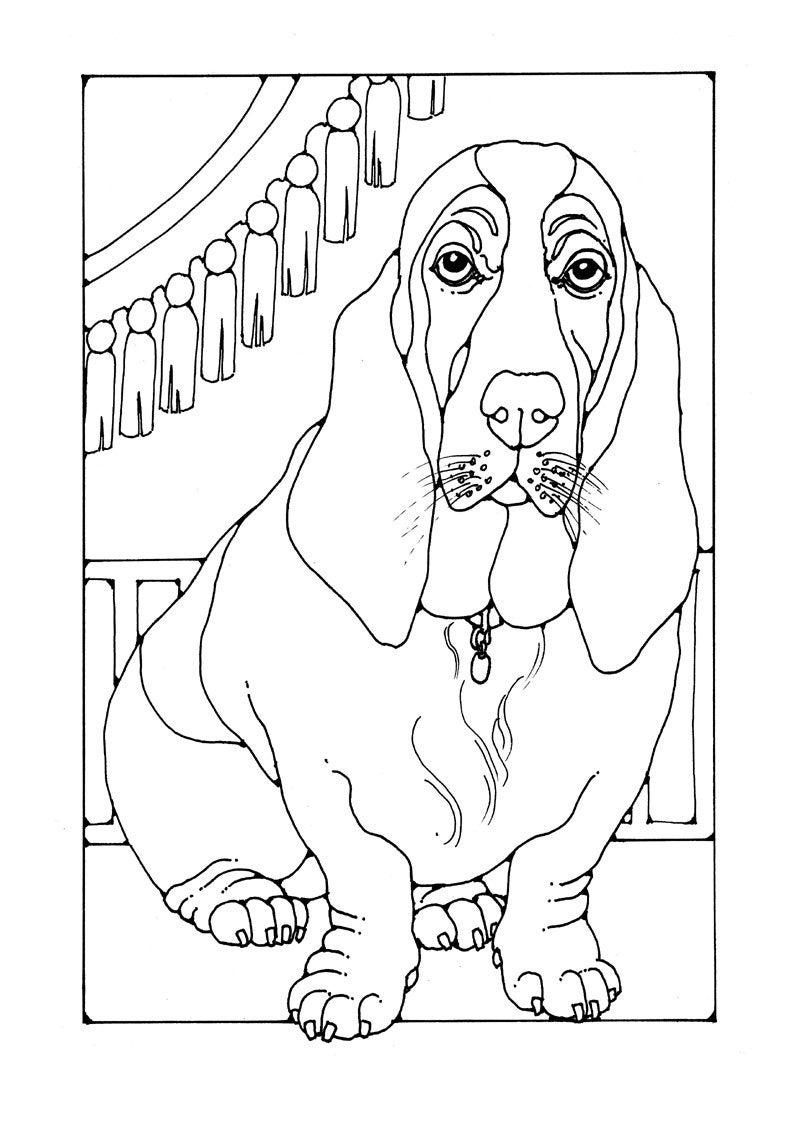 Dogs to Colour In. 42 Different Pages to Download and Print Out. - Etsy