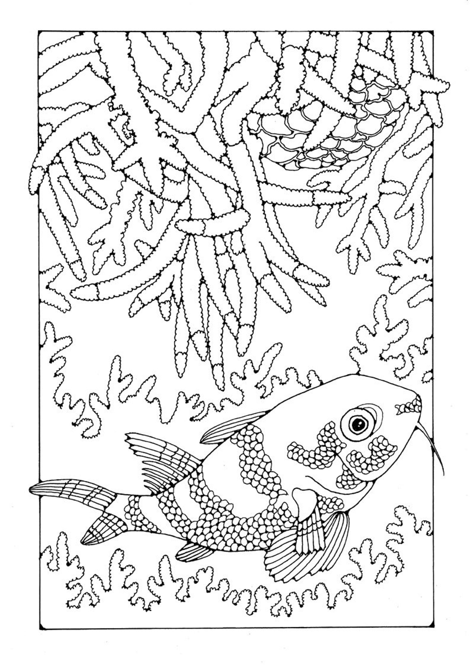 A Water World Colouring Book 42 Different Pages to Download - Etsy