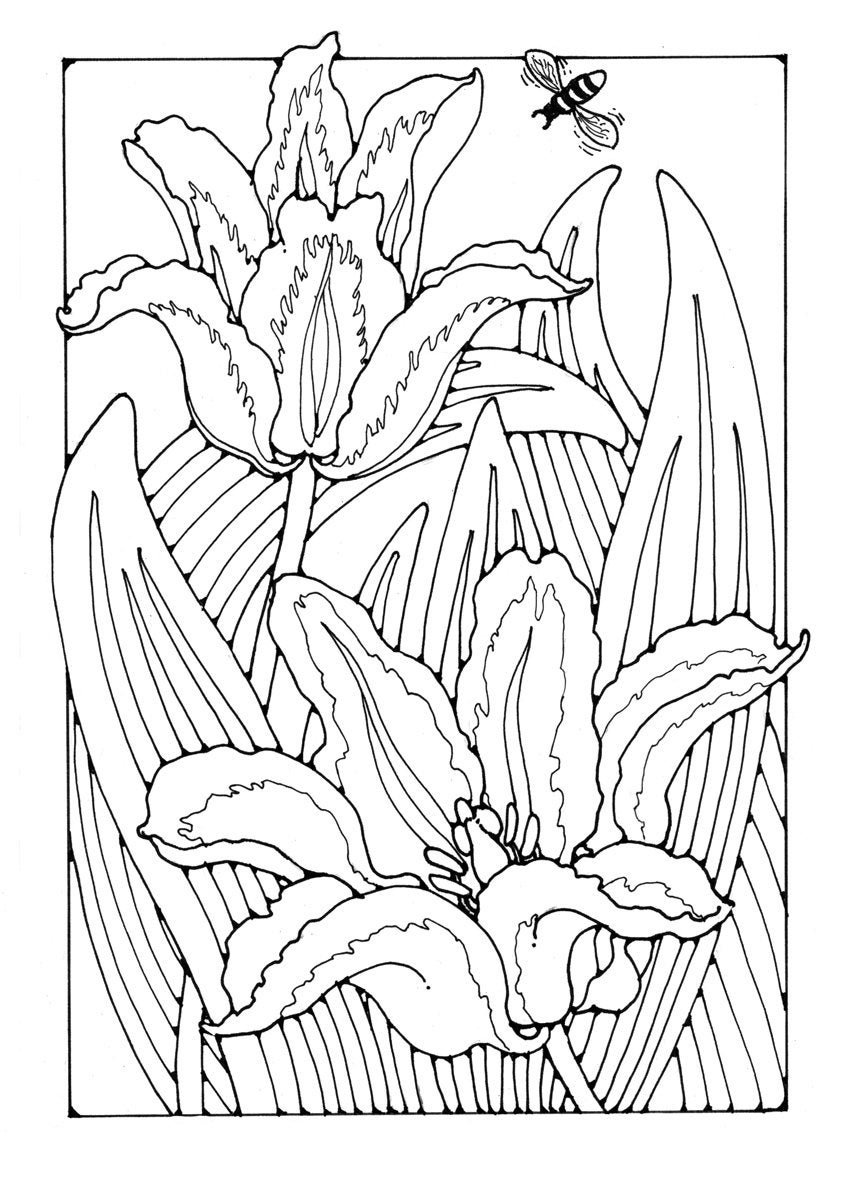Flowers to Colour In. 62 Different Pages to Download and Print Out. - Etsy