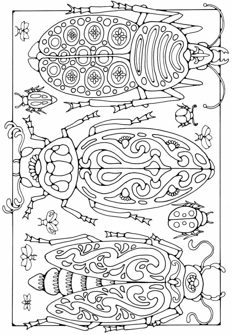 Butterflies and Bugs to Colour in US Letter Format. 42 - Etsy