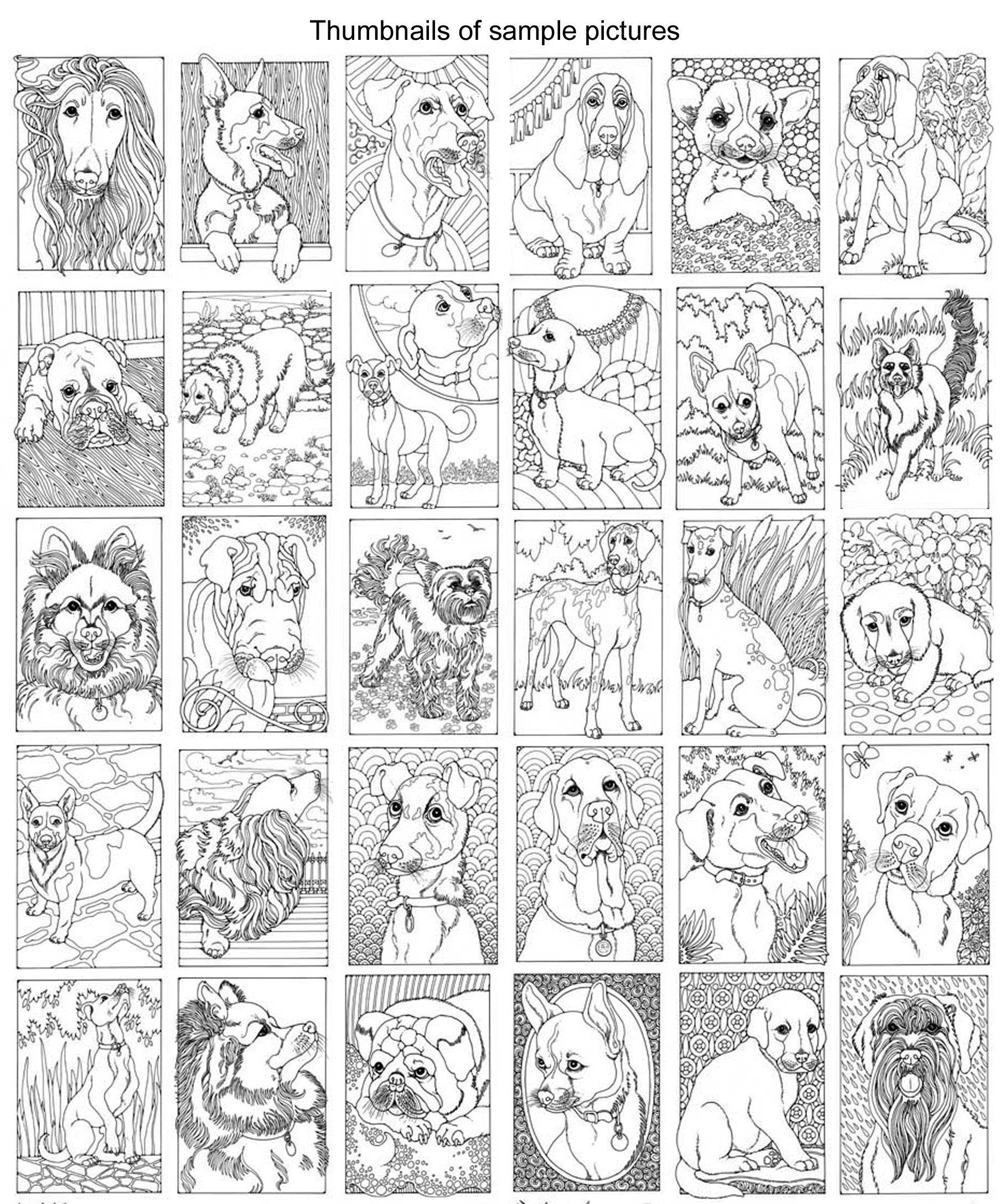 Dogs to Colour In. 42 Different Pages to Download and Print Out. - Etsy