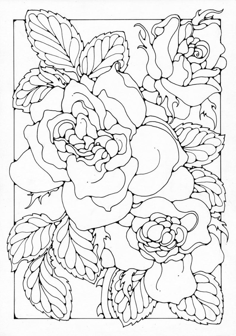 A Colouring Book of 42 Roses to Download and Print Out in US Letter ...