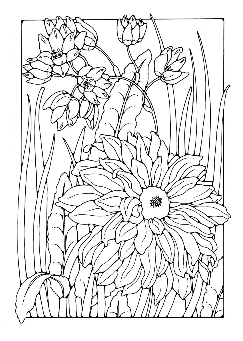 Flowers to Colour, 62 Different Pages to Print Out in US Letter Format ...