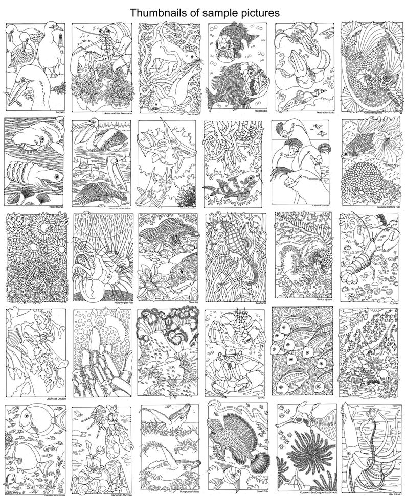 A Water World Colouring Book, 42 Different Pages to Download and Print ...