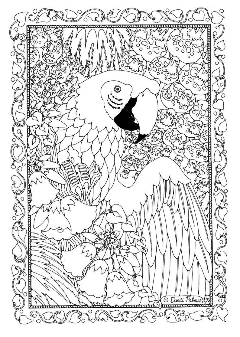 Pictures to Colour In, 42 Different Pages to Download and Print Out. - Etsy