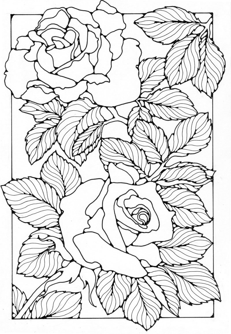 A Colouring Book of 42 Roses to Download and Print Out in US Letter ...