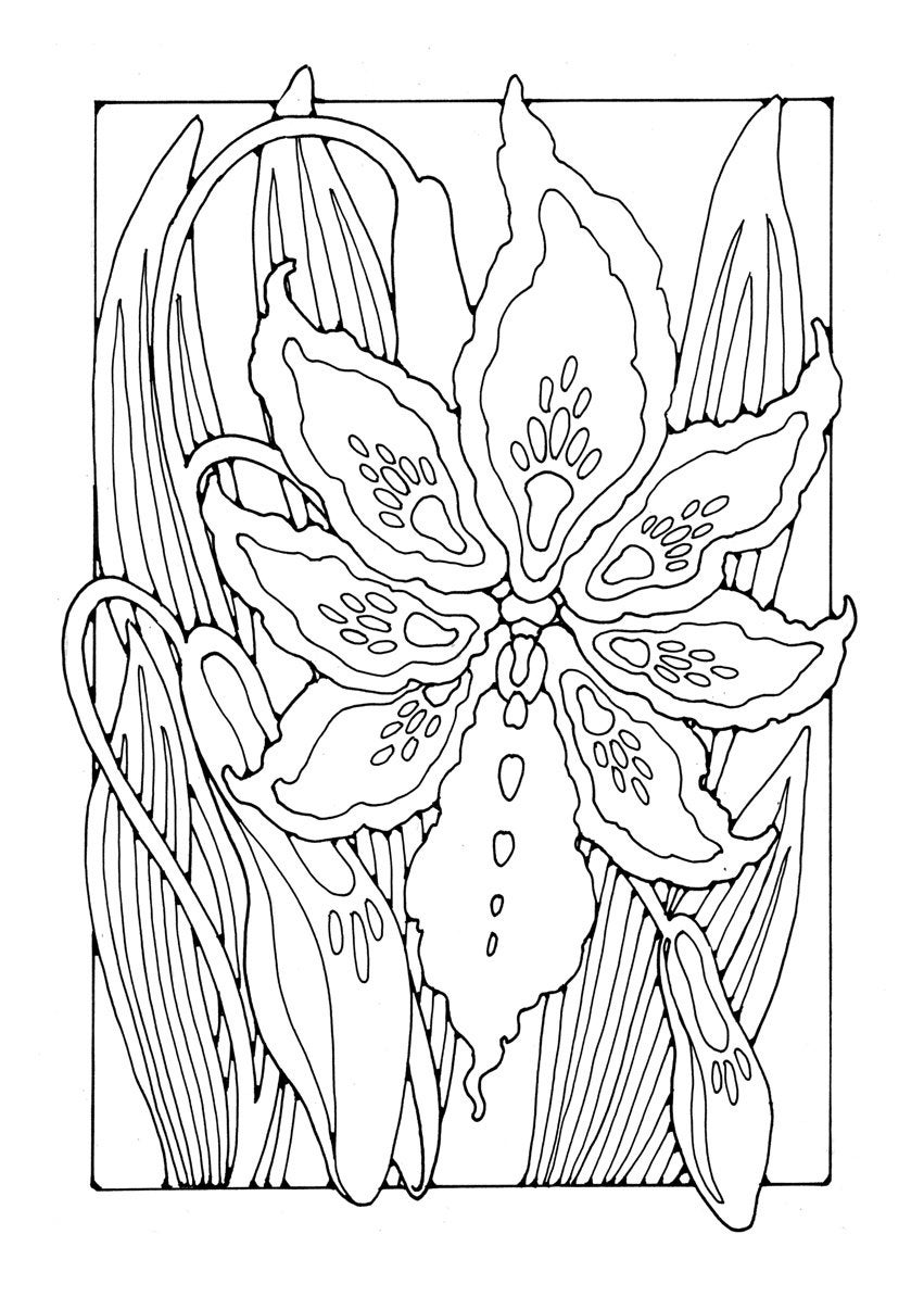 Flowers to Colour In. 62 Different Pages to Download and Print Out. - Etsy