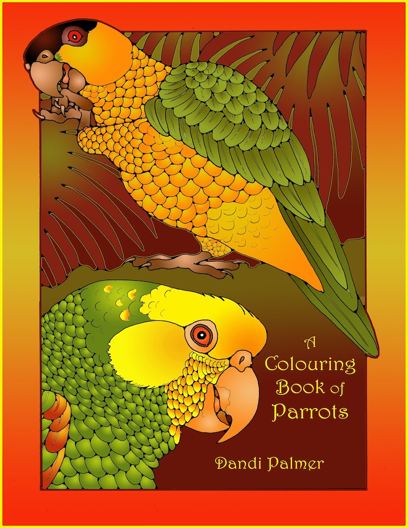 A Colouring Book of Parrots in US Letter Format, 42 Original Pictures ...