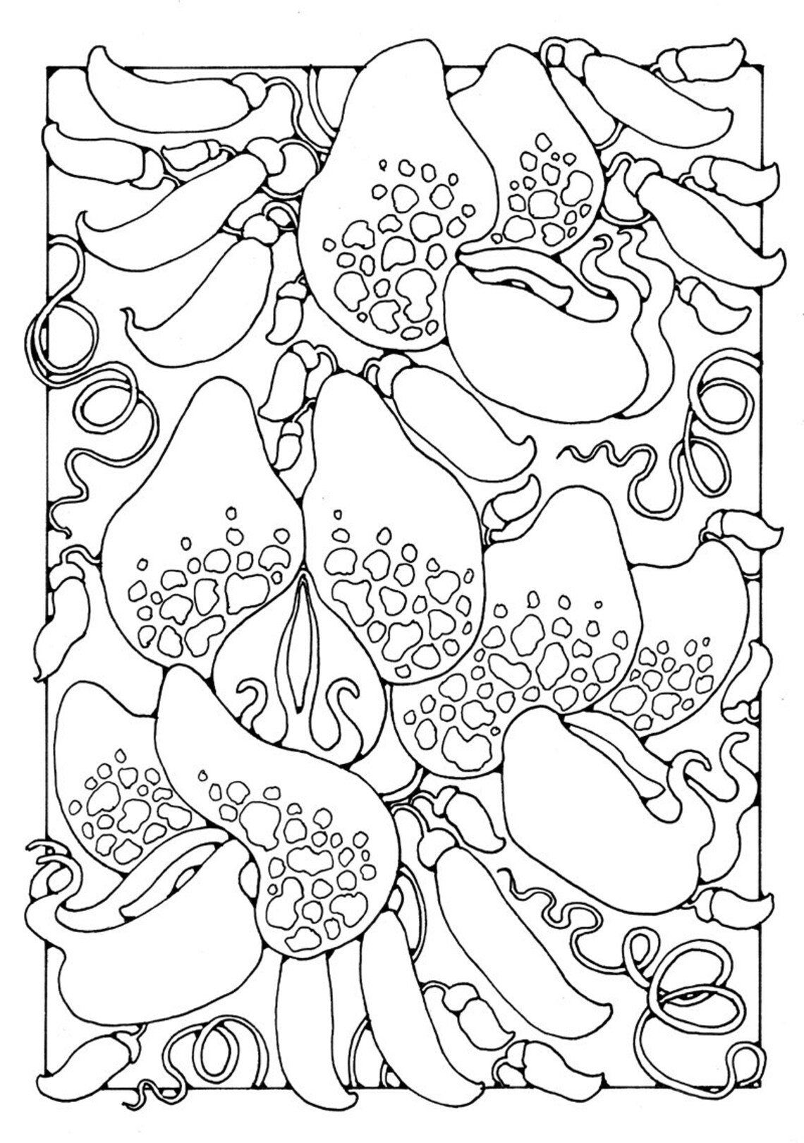 Patterns to Colour in 2. 62 Different Pages to Download and Print Out ...